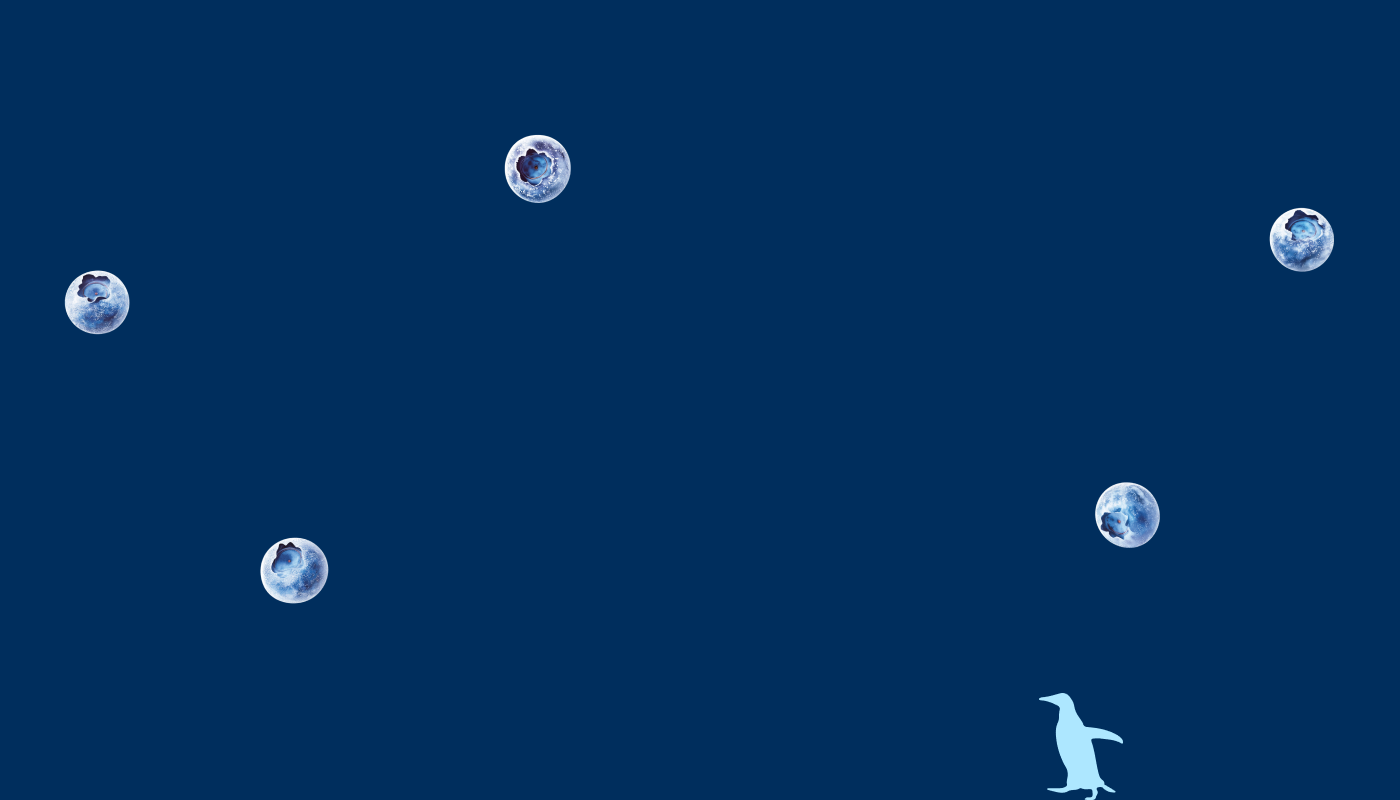 Still Life Frozen Fruit